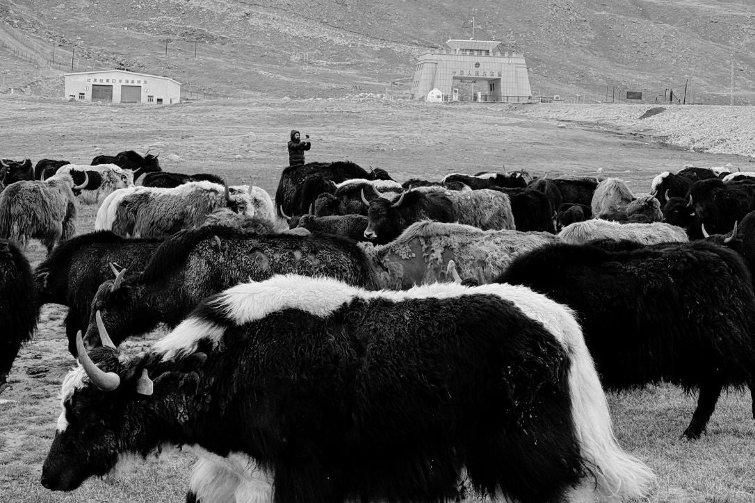 Artisans of LADAKH – Traces of the World